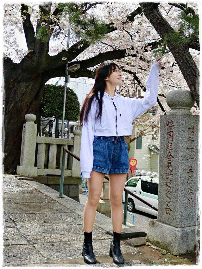 Idol Hanami 2023 – KAKKO-II BLOG