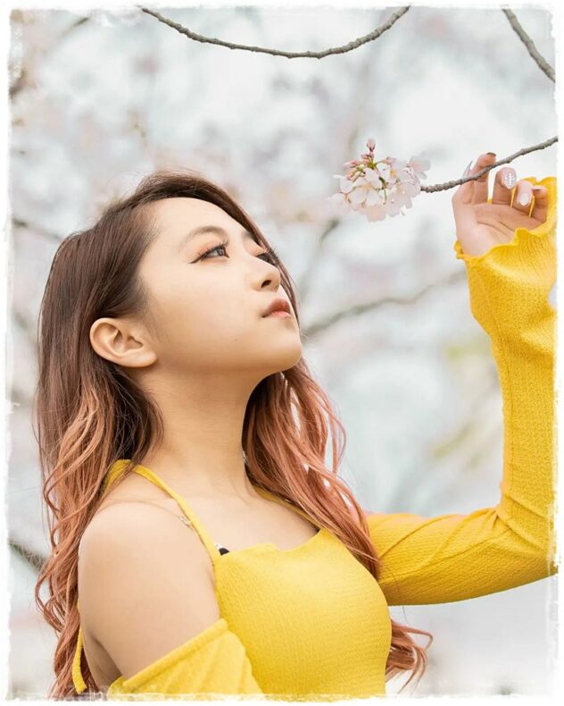 Idol Hanami 2023 – KAKKO-II BLOG