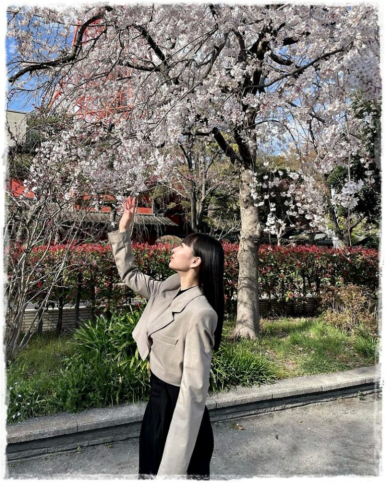 Idol Hanami 2023 – KAKKO-II BLOG